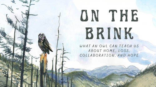 Audio | MediaStorm Platform